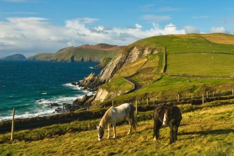 Dingle: Halbinsel am Wild Atlantic Way